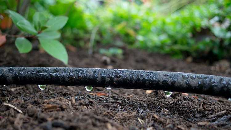 Efficient Drip Irrigation for Home Gardens | Living Waters Landscape ...